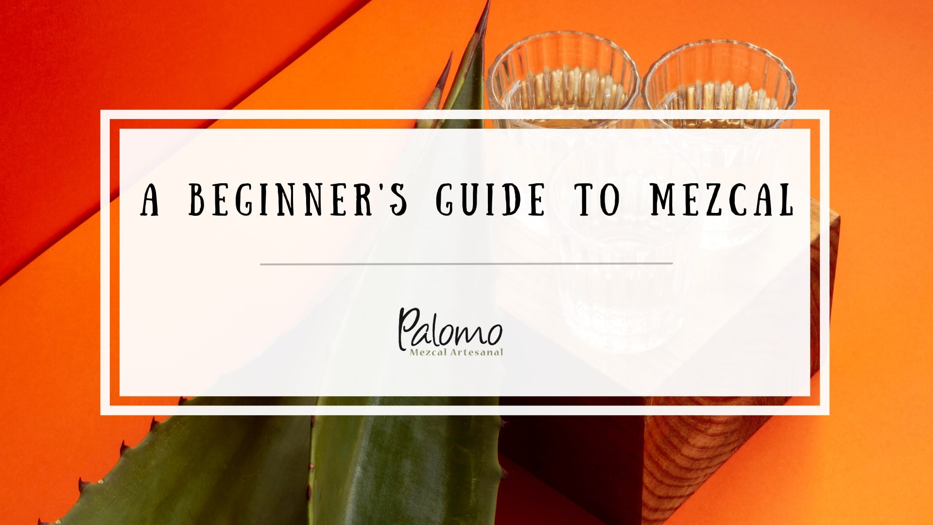 The Mezcal Primer: A Beginner's Guide to the Spirit of Oaxaca