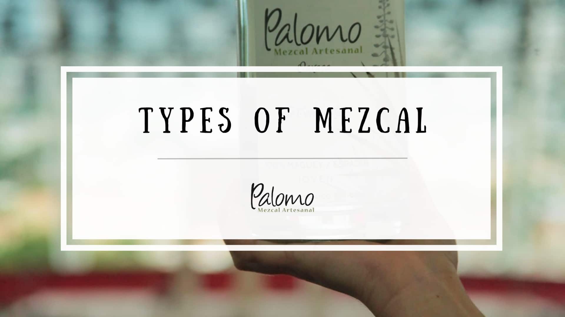 Understanding the Different Mezcal Types and Why Palomo Mezcal Stands Out