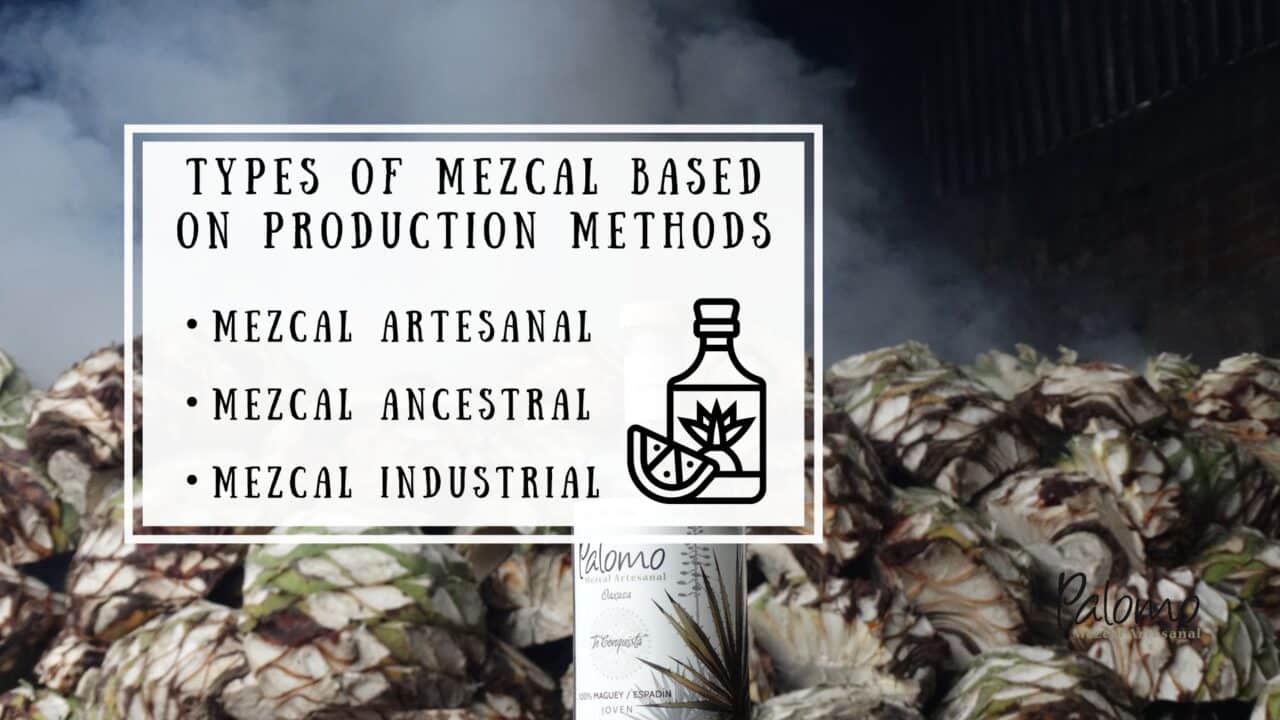Understanding the Different Mezcal Types and Why Palomo Mezcal Stands Out